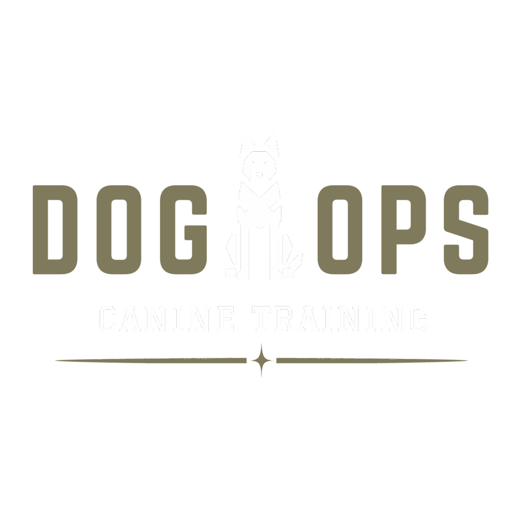 Charleston Dog Trainer - Board & Train Program - Dog Ops LLC